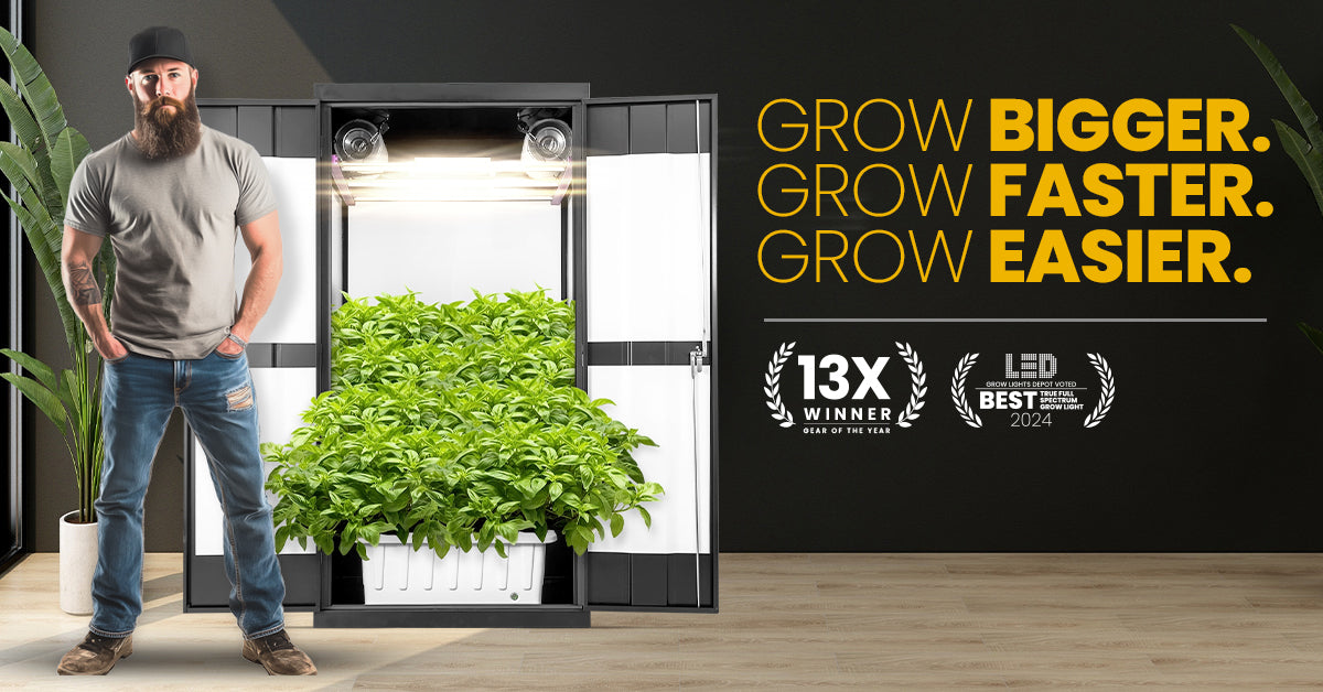 The Ultimate Grow Box for Plants