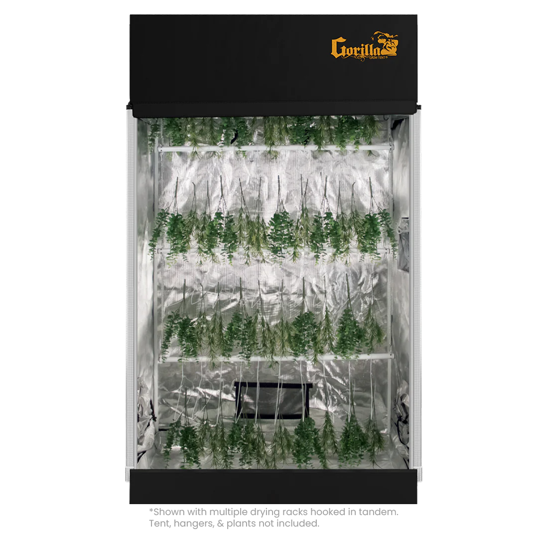 Cannabis Drying Rack: Best Solutions for Efficient Drying