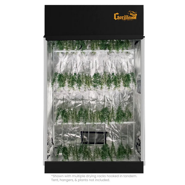 Cannabis Drying Rack: Best Solutions for Efficient Drying