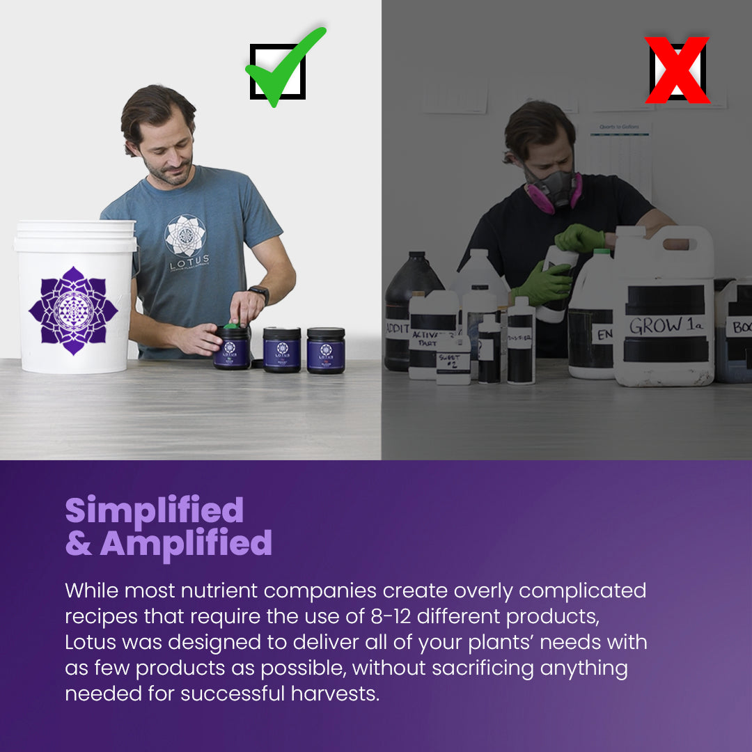 Lotus Bloom, Bloom Nutrients, Blooms Nutrition (2022)